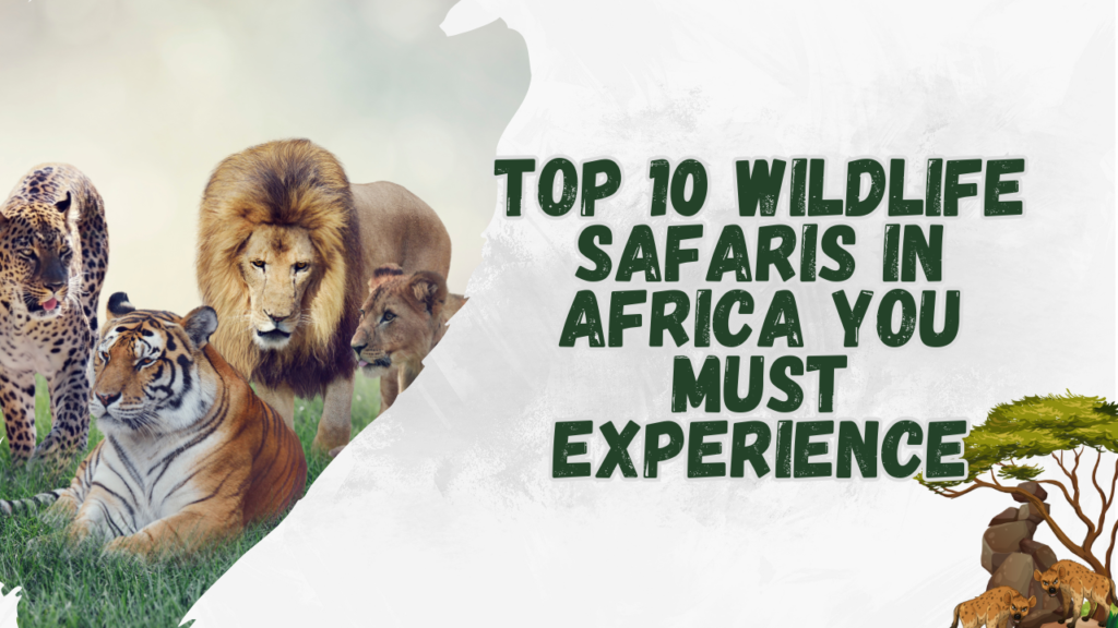 Top 10 Wildlife Safaris in Africa You Must Experience - ExploreHub